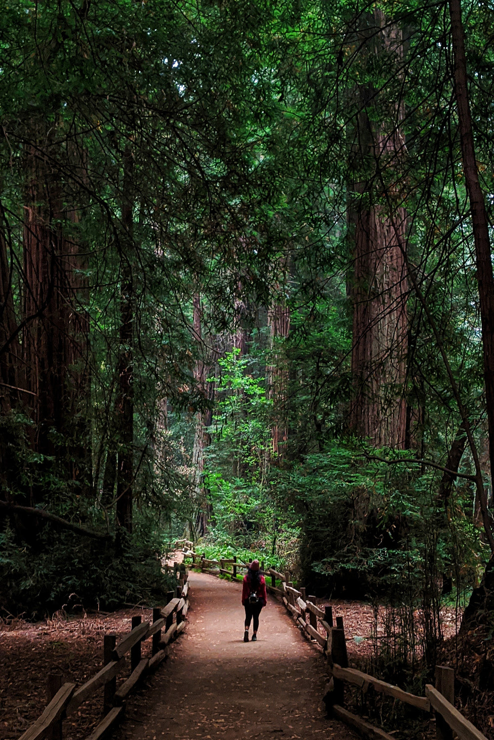 SMARTBITE COLLECTIVE - Smartbite Snacks Inc.